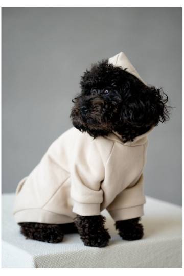 Koer riided | Koerte riided